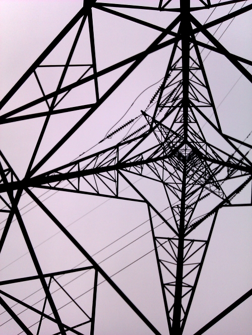 Writing exercises of the literal kind - walking - Chrissey Harrison